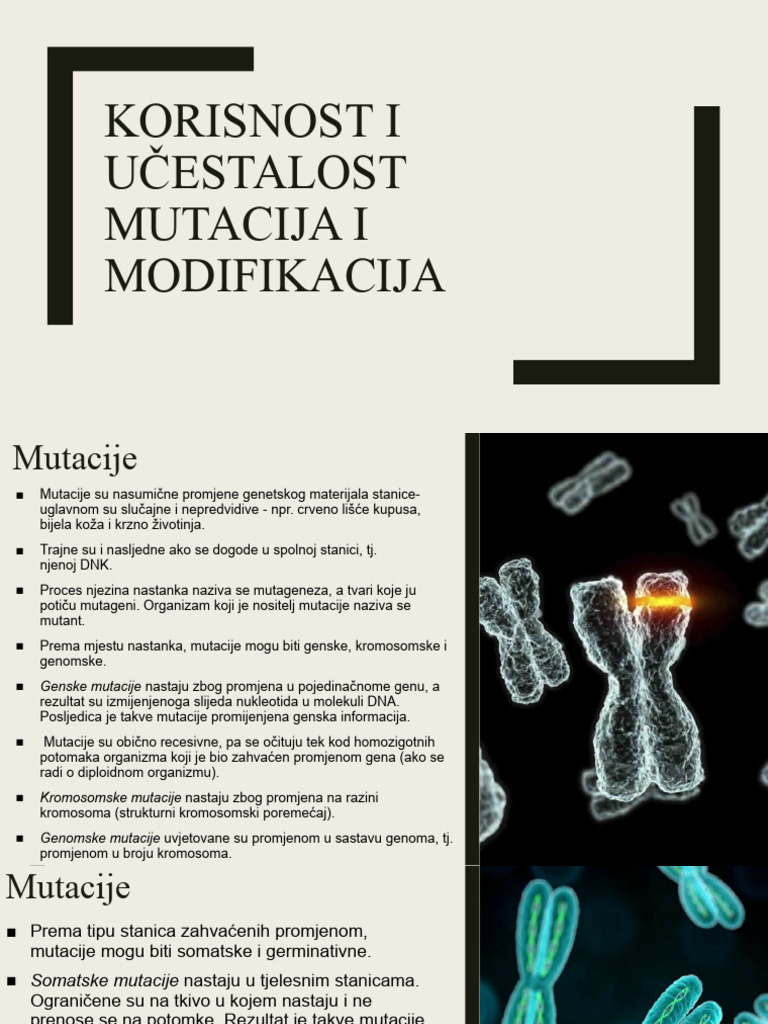 Korisnost I Učestalost Mutacija I Modifikacija | PDF