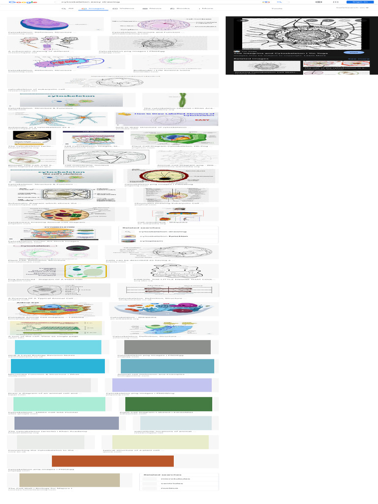 Cytoskeleton Easy Drawing - Google Search | Download Free PDF | Cell ...