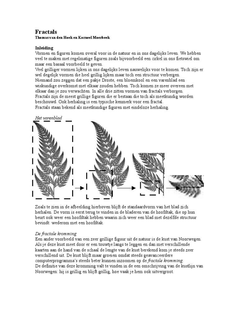PO Wiskunde Fractals Inleinding en Algmene Eigenschappen en Peano ...
