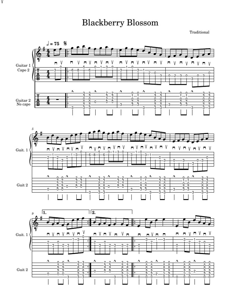 Blackberry Blossom Misc Traditional | PDF | Chordophones | Guitar ...