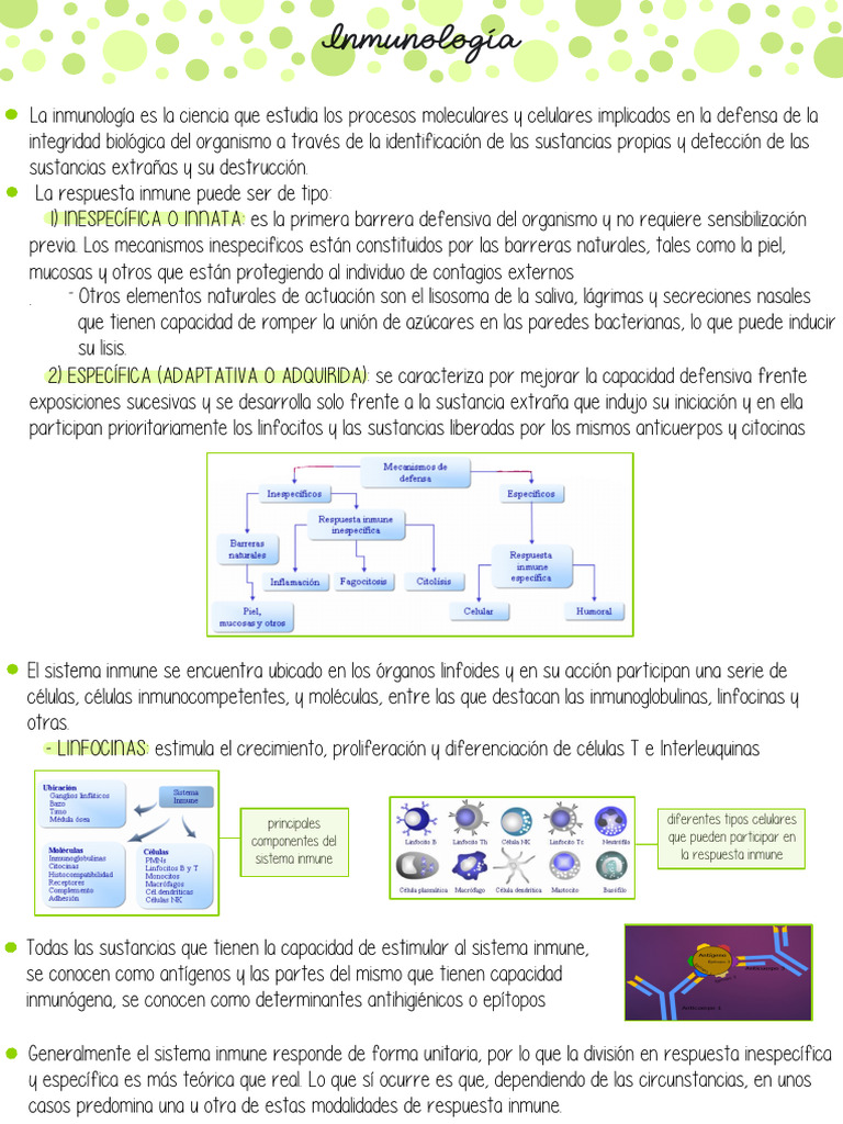 Sistema Inmune | PDF | Célula T | Linfocitos