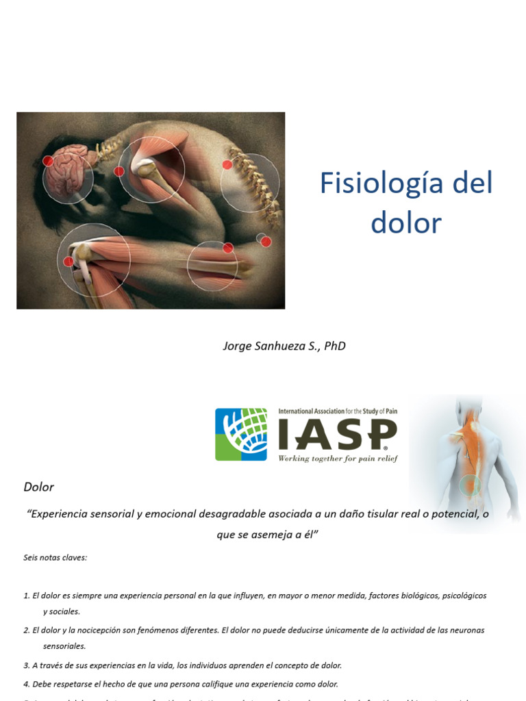 Fisiología Del Dolor General | PDF | Dolor | Neurociencia
