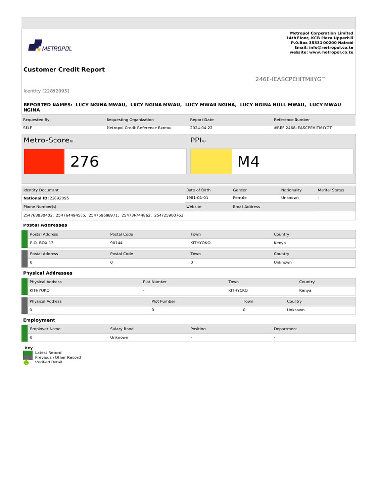 4 Report | PDF | Debt | Loans