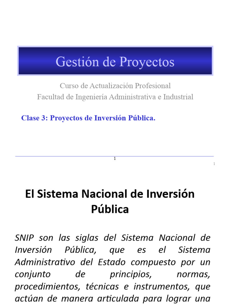 Tema 5 - Proyectos Inversion Publica | PDF | Presupuesto | Inversiones
