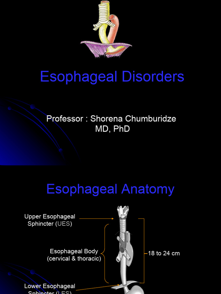 Understanding Esophageal Disorders | PDF | Esophagus | Gastroesophageal ...