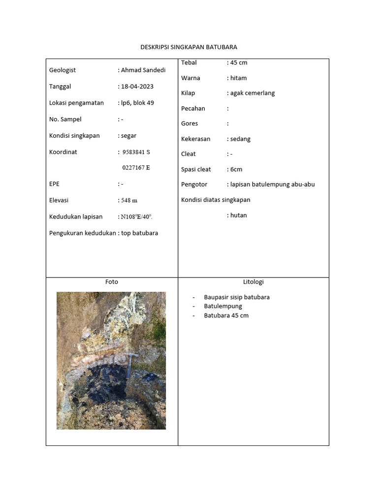 Deskripsi Singkapan Batubara Segar | PDF