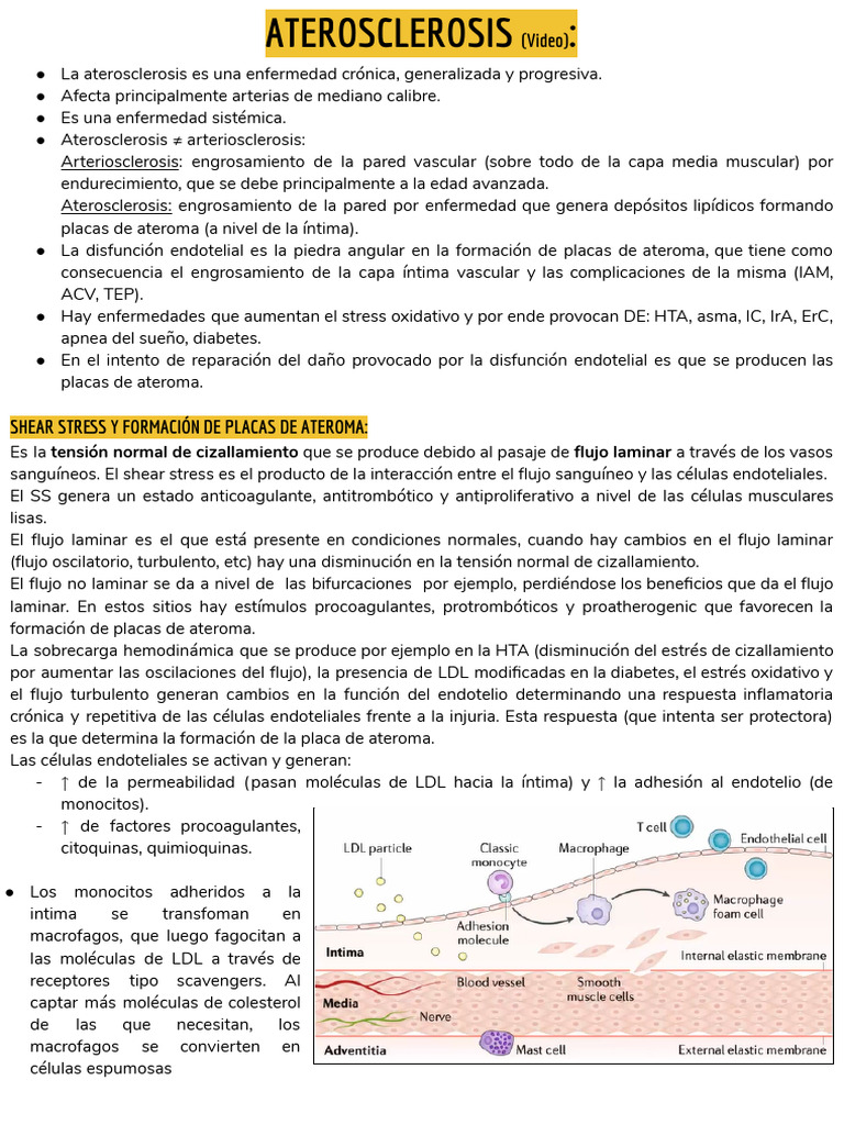 Aterosclerosis: Formación y Complicaciones | PDF | Aterosclerosis ...
