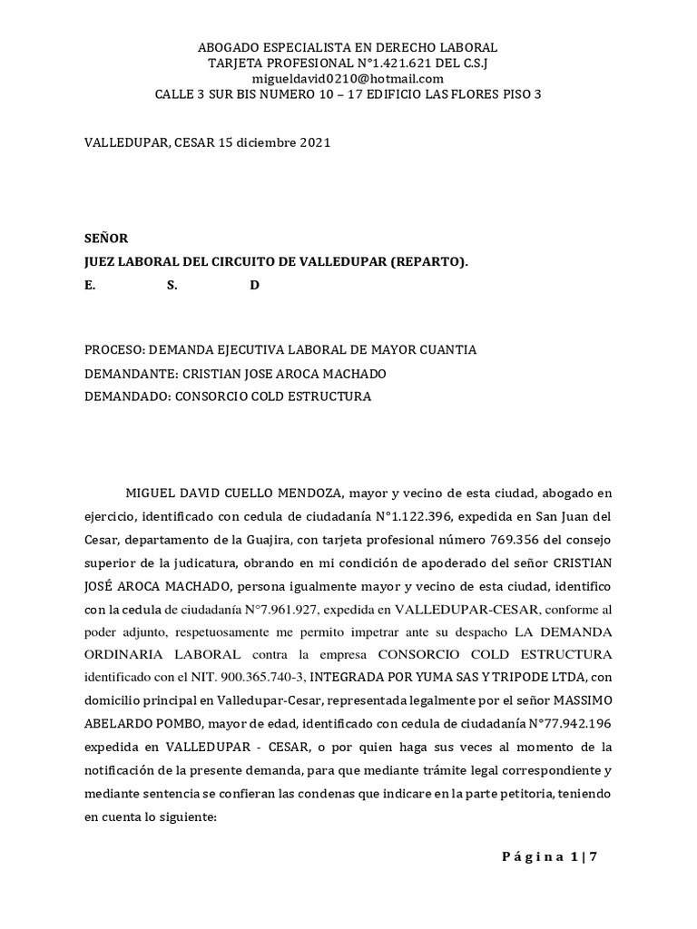 Demanda y Poder Laboral Final | PDF | Derecho laboral | Documento de identidad