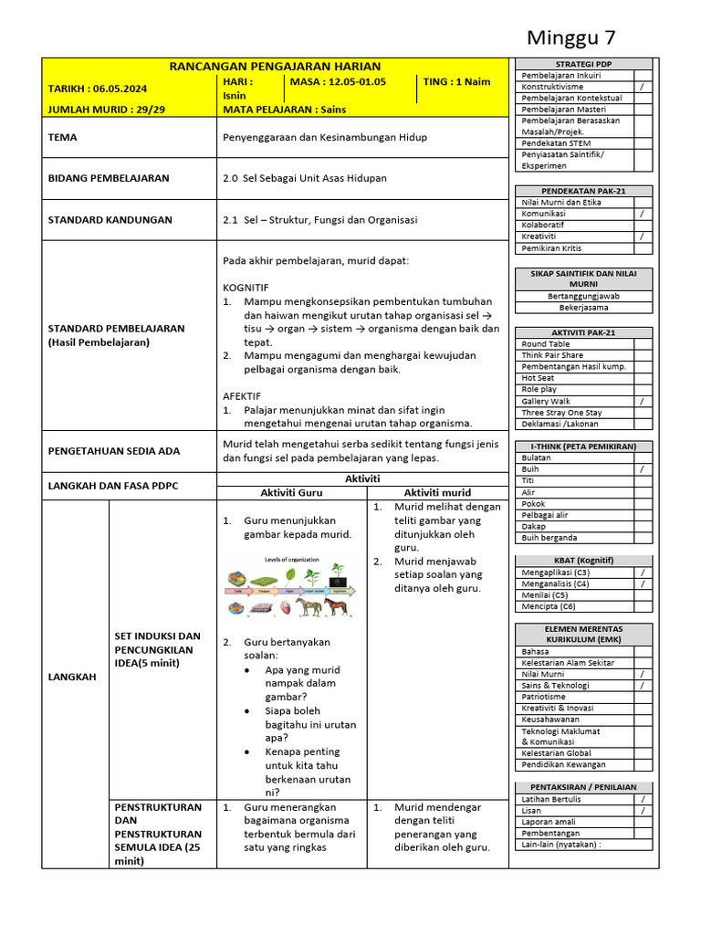 RPH Week 7 - 06.05.24 | PDF