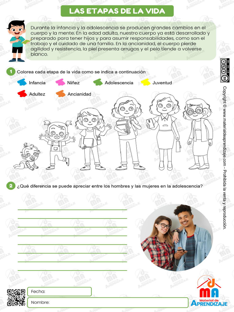 las etapas de la vida fichas color | PDF