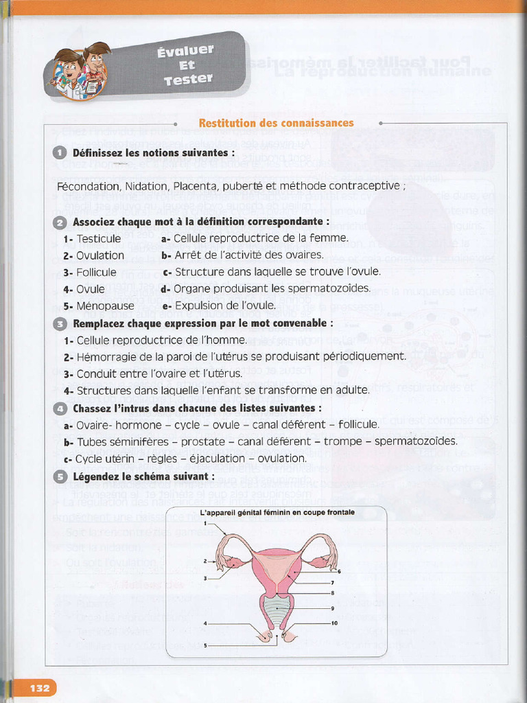 Reproduction humaine : notions et exercices | PDF | Femme | Ovaire