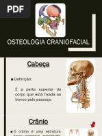 Anatomia dos Ossos da Cabeça | PDF | Crânio | Anatomia