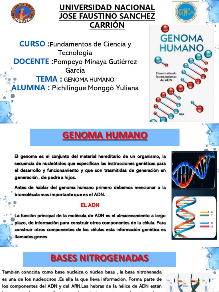 Nucleocitos y el Genoma Humano | PDF | Adn | Rna
