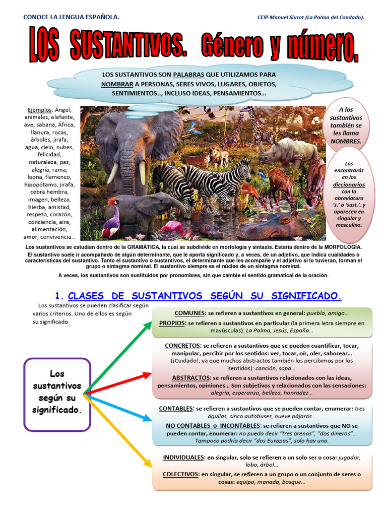 24 Conoce La Lengua Sustantivos Genero y Numero-1-2 | PDF | Sustantivo ...
