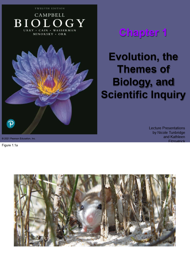 Lecture - Presentation - 01 No Videos | PDF | Cell (Biology) | Gene