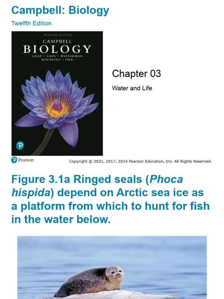 Accessible Lecture Presentation 03 | PDF | Ph | Solvation