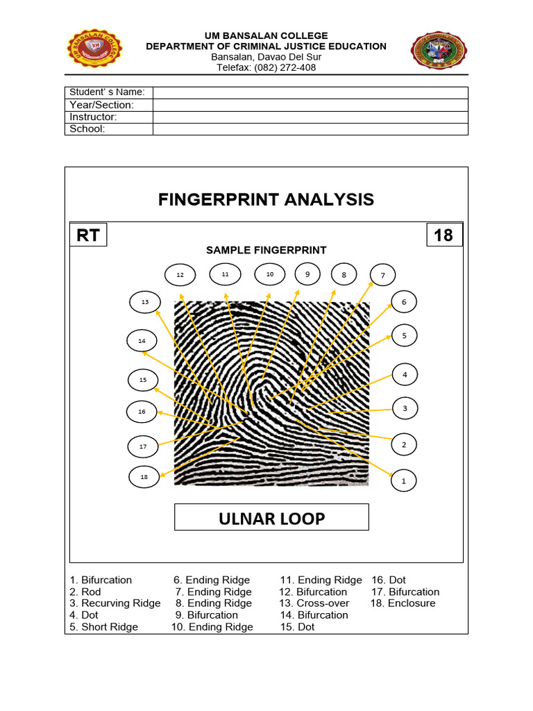 Fingerprint Analysis Format | PDF