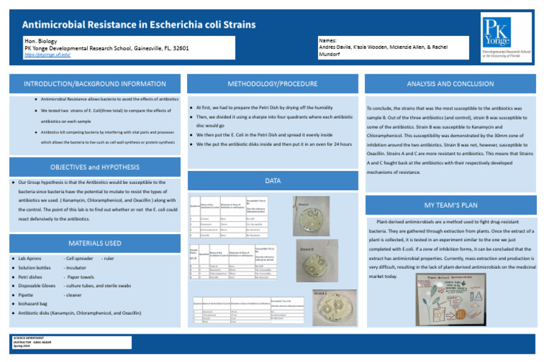 Lab Report Template - AMR | Download Free PDF | Antimicrobial ...