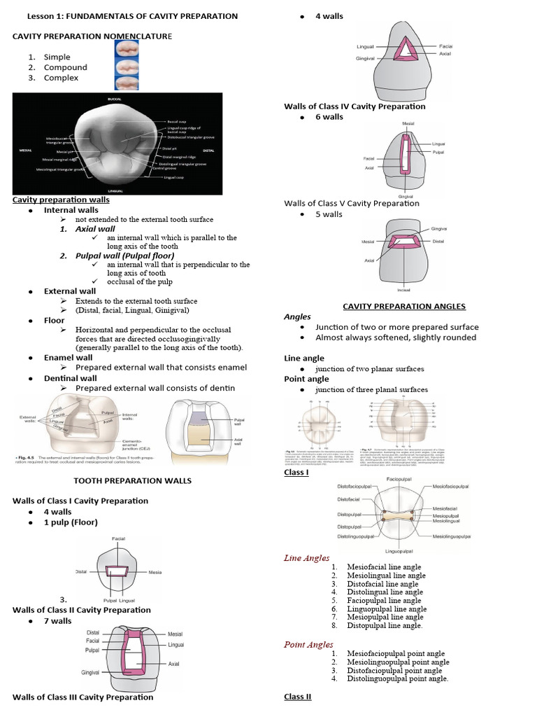 Lesson 1 - Fundamentals of Cavity Preparation | PDF | Tooth Enamel ...
