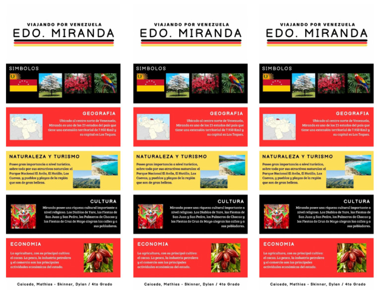 Infografia Edo. Miranda | PDF