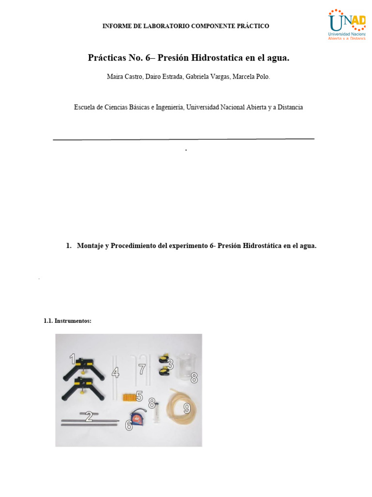 Practica No 6 Presion Hidrostatica en El Agua | PDF | Presión | Gases