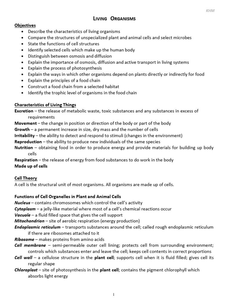 KRAHMs HSB Study Guide | PDF | Digestion | Human Digestive System