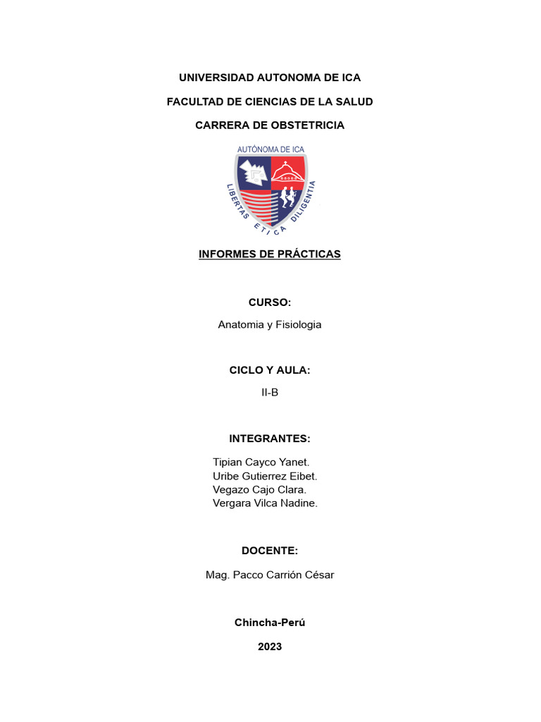 1 Informe de Anatomia | PDF | Esqueleto | Hueso