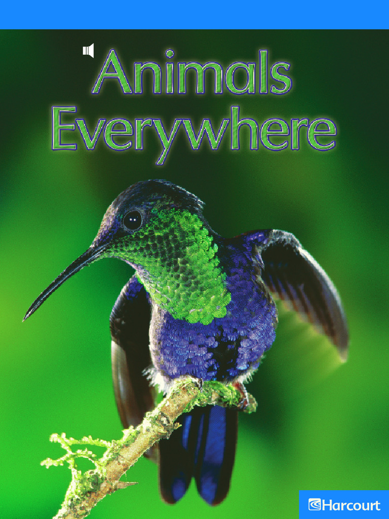 Animals Everywhere | PDF | Frog | Water