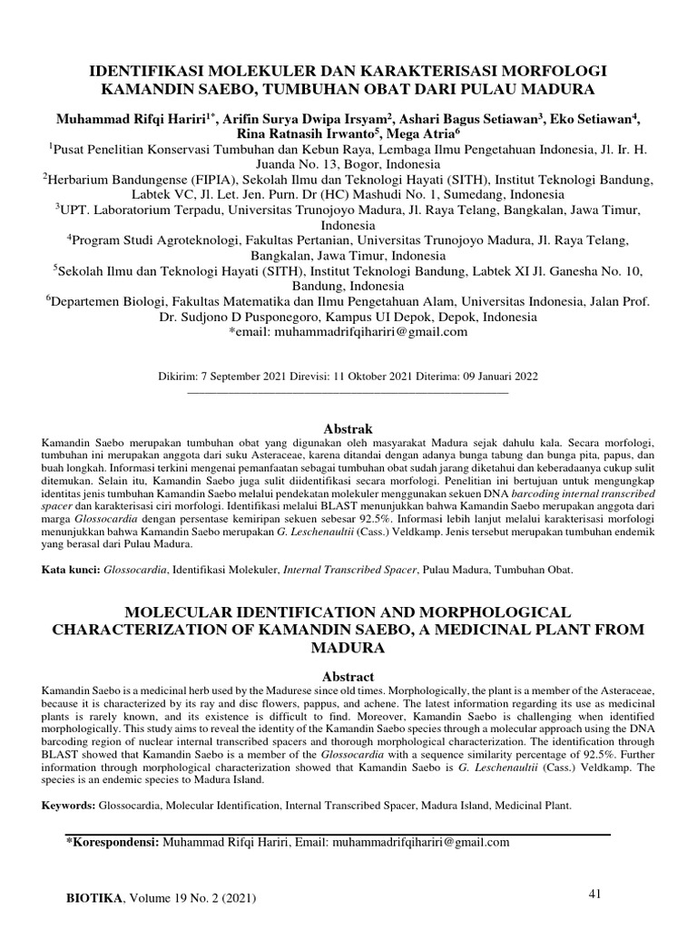 IDENTIFIKASI MOLEKULER DAN KARAKTERISASI MORFOLOGI KAMANDIN SAEBO ...