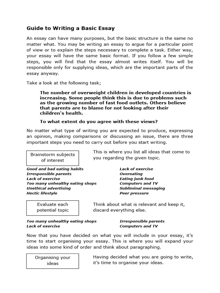 Guide to Writing a Basic Essay | PDF | Essays | Fast Food