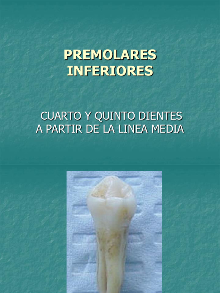 Premolares Inferiores | PDF | Anatomia dental | Diente