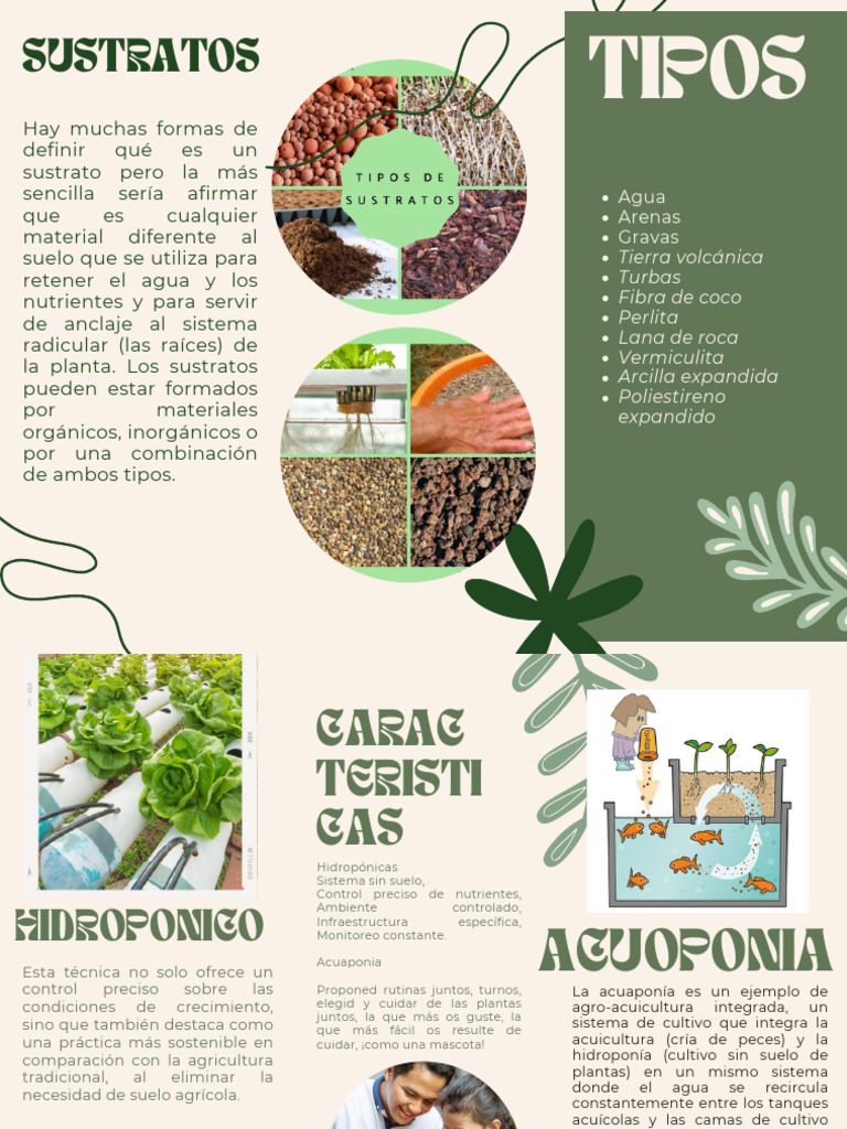 Sustratos en Hidroponía y Acuaponía | PDF | Hidroponia | Acuaponia
