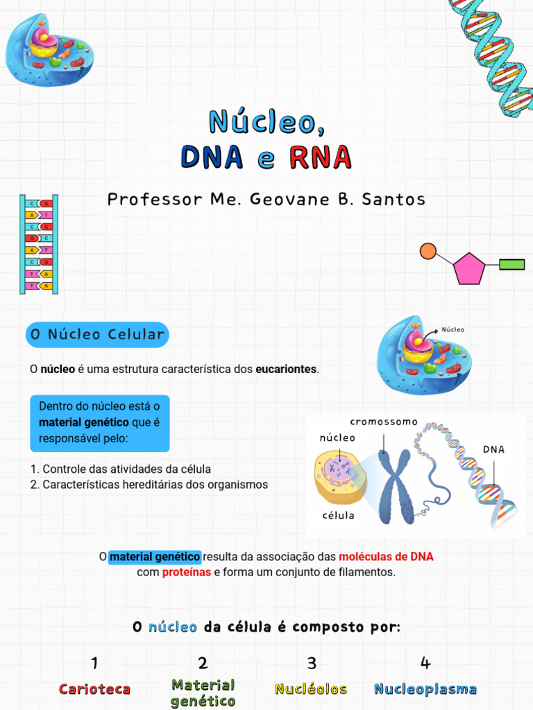 Nucleo, Dna, Rna | PDF | RNA | DNA