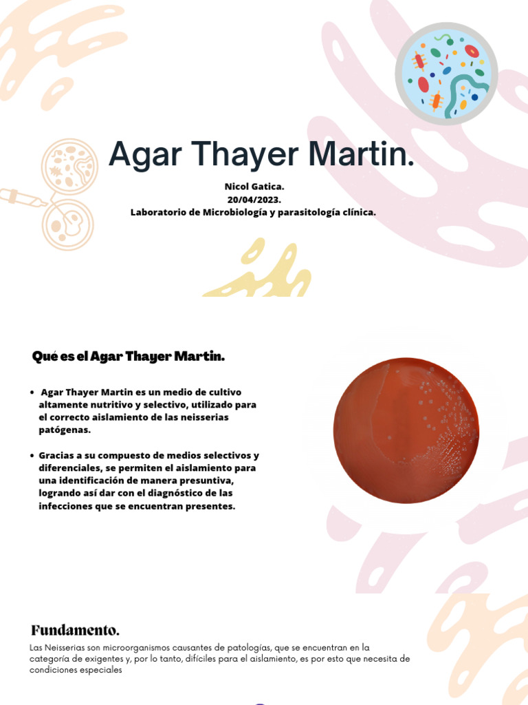 Agar Thayer Martin N.G. - 20240420 - 181719 - 0000 | Descargar gratis ...