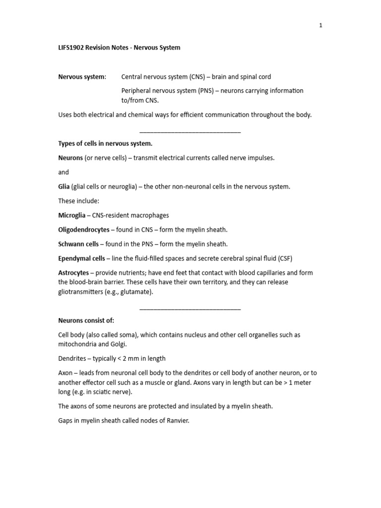 LIFS1902 Nervous System Revision Notes | PDF | Neuron | Myelin