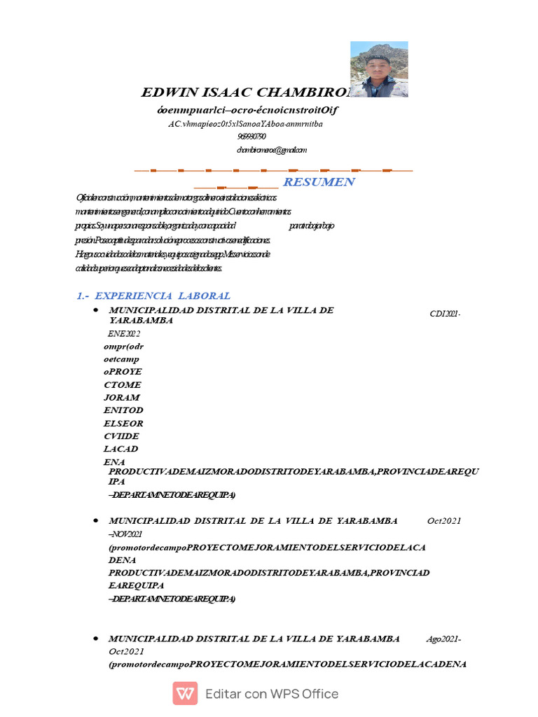Modelo Cv 2022 Edwin_chambi_romero Hoja de Vida | PDF