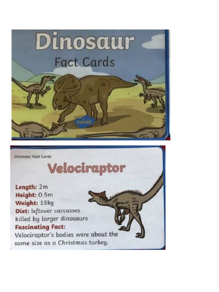 DINO | PDF