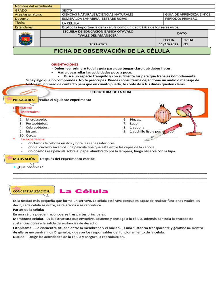 Ficha de Observación - La Celula | PDF | Citoplasma | Biología Celular)