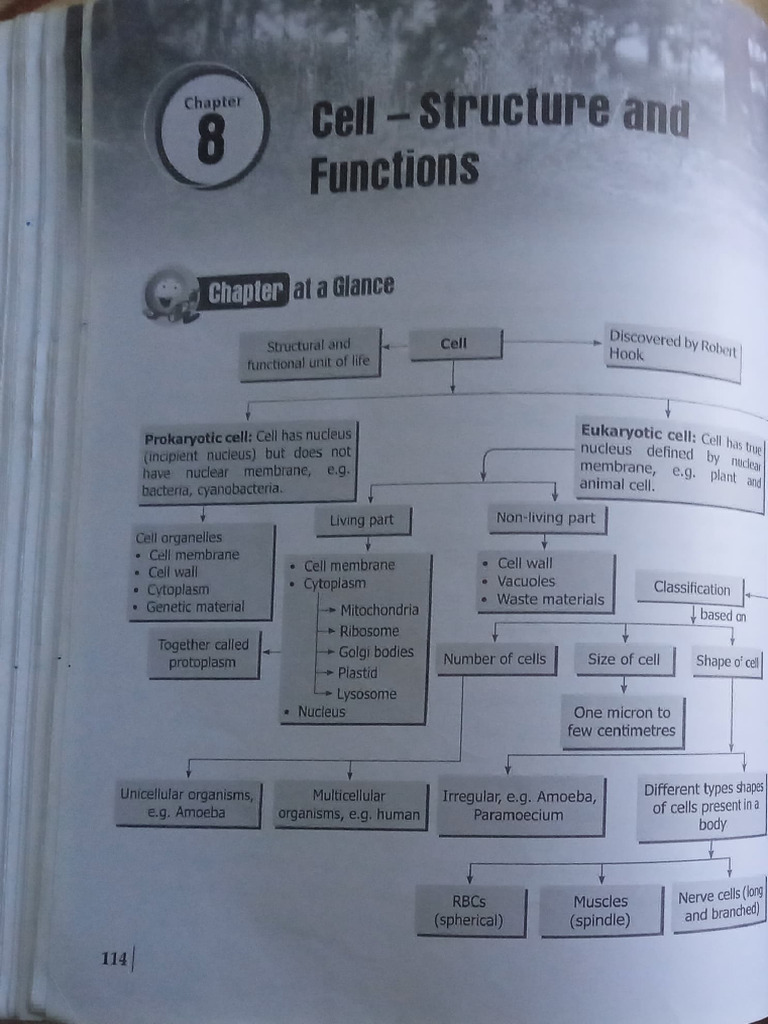 Ch8 Class 8 Science Worksheet With Solutions Super Duper Notes PDF ...