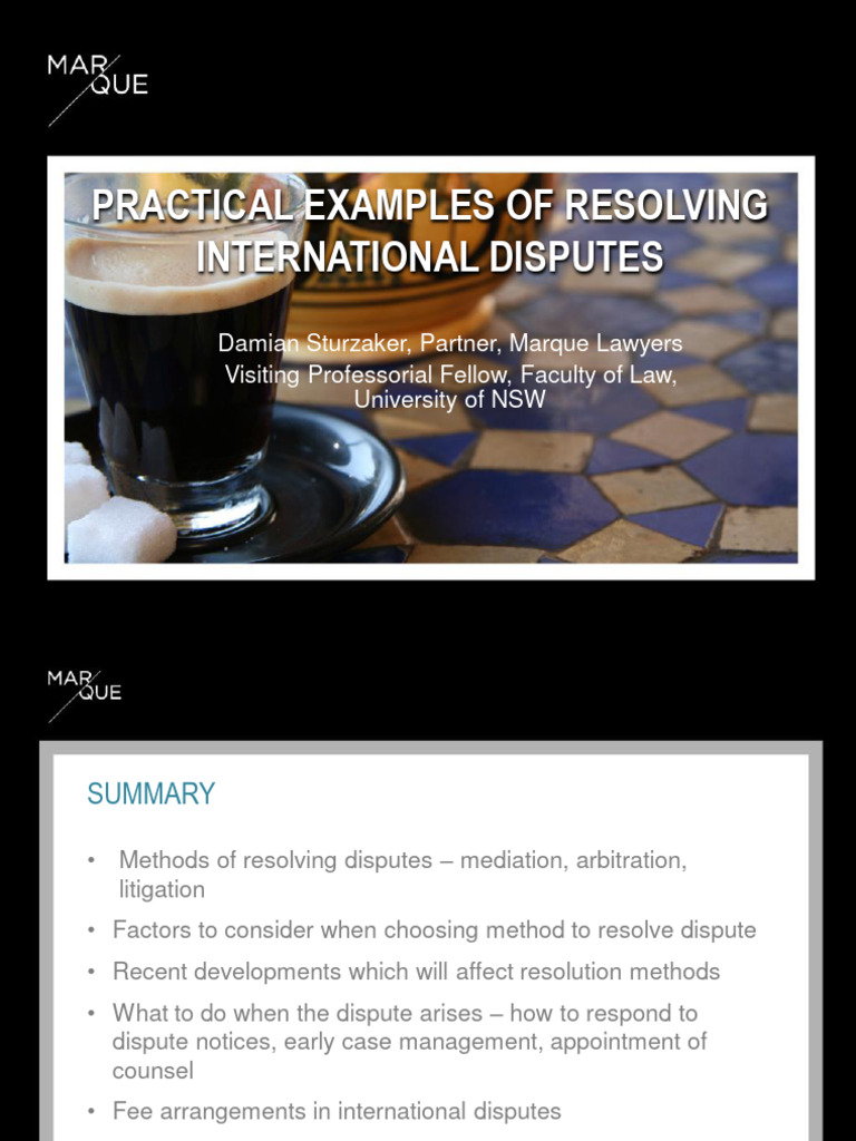 Seminar 3 Practical Examples of Resolving International Disputes | PDF ...