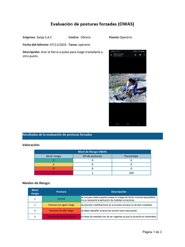 Informe - Owas VIDEO 3 | PDF