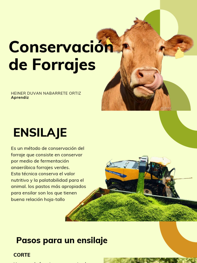 Ensilaje Como Método de Conservación de Forrajes | PDF
