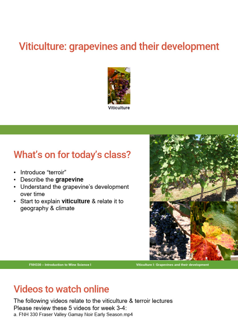 Understanding Grapevine Development | PDF | Phenolic Content In Wine ...