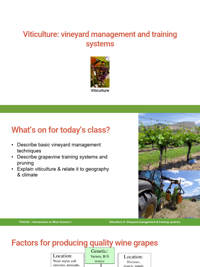 FNH330 05 Viticulture Management and Training Systems | PDF ...