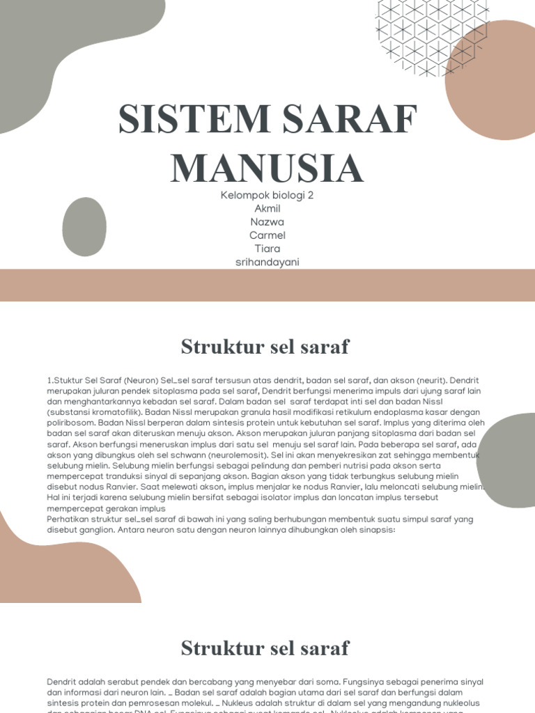 Elegant Education Pack For Students XL by Slidesgo | PDF