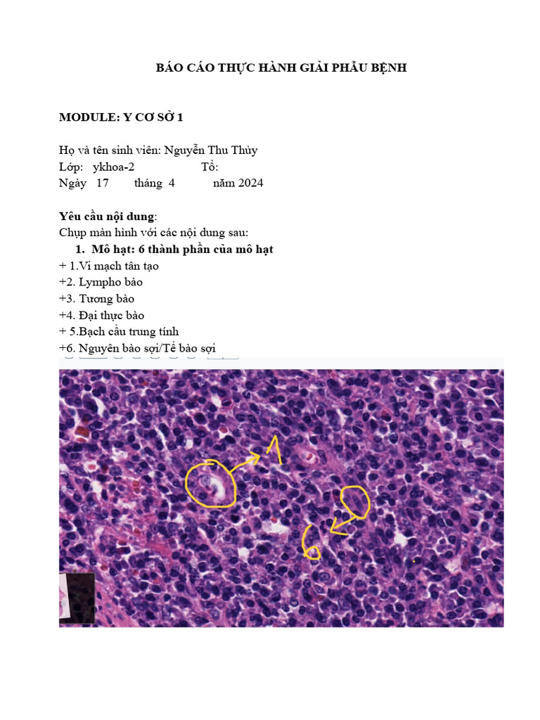 Báo Cáo TH C Hành GPB | PDF