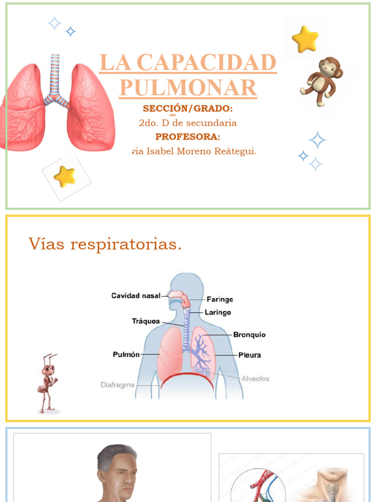 La Capacidad Pulmonar | PDF