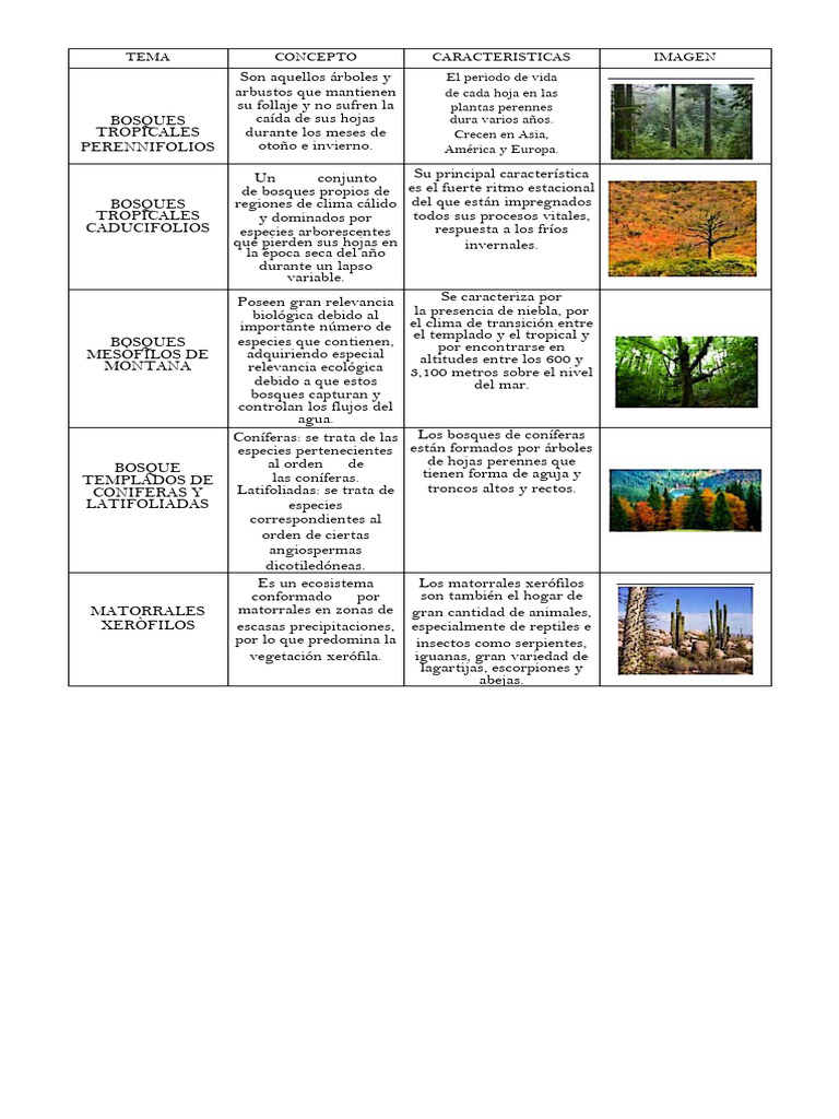 Bosques | PDF | Arboles | Los bosques
