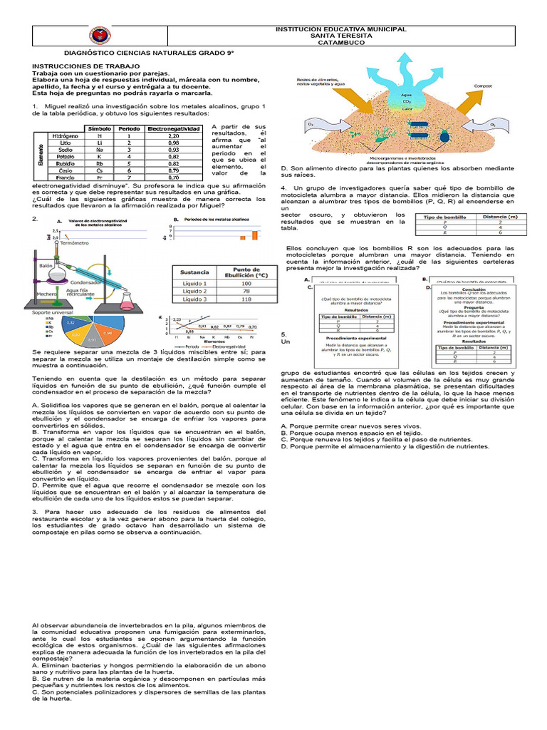 Taller Diagnóstico de CN9° P1 | PDF | Leche | Líquidos