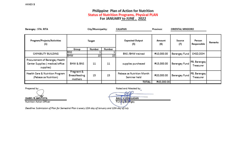 Barangay Sta. Rita Ppan Plan and Accomplishment | PDF | Public Health ...